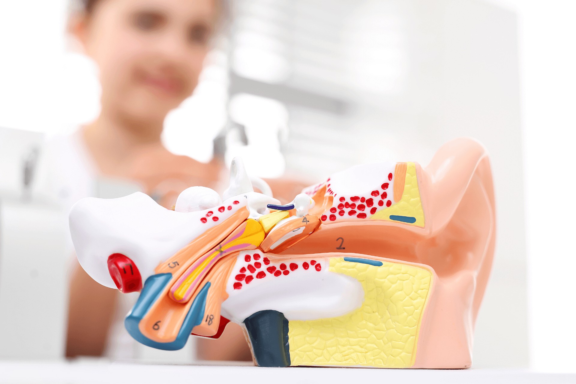 ¿Qué es la Otitis Externa? Síntomas y Tratamiento